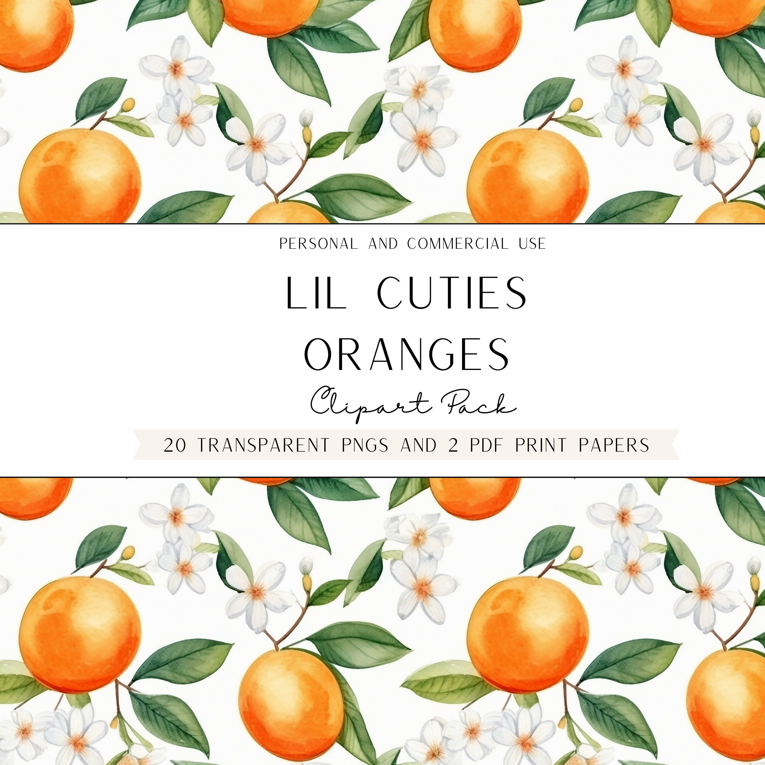 Little Cutie Oranges Clipart, Watercolor Citrus PNG, Floral Blossom ...