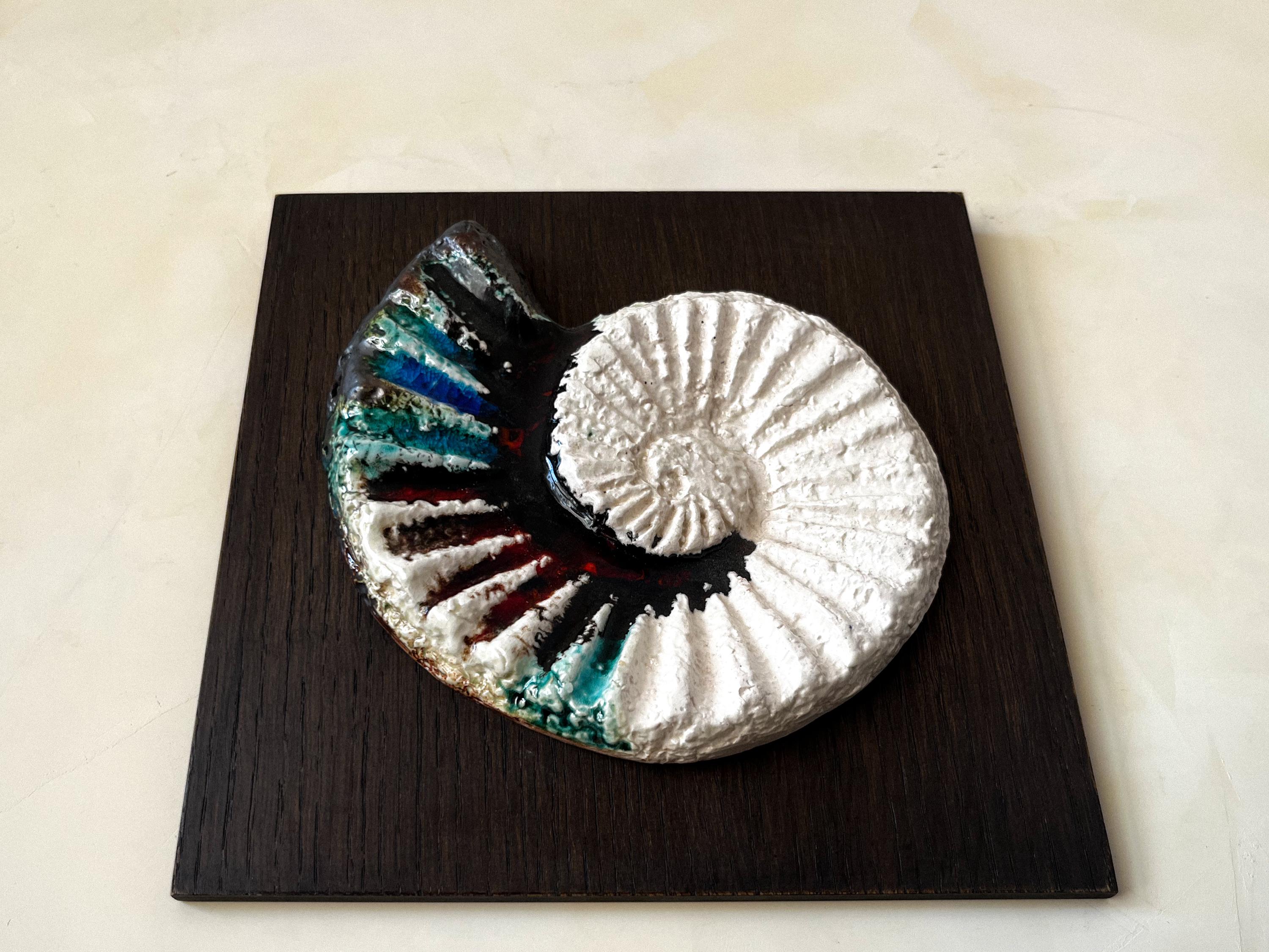 Fossil, Art Pano, Wall Panel, Ceramic Plate, Handmade Ceramic, Wall ...