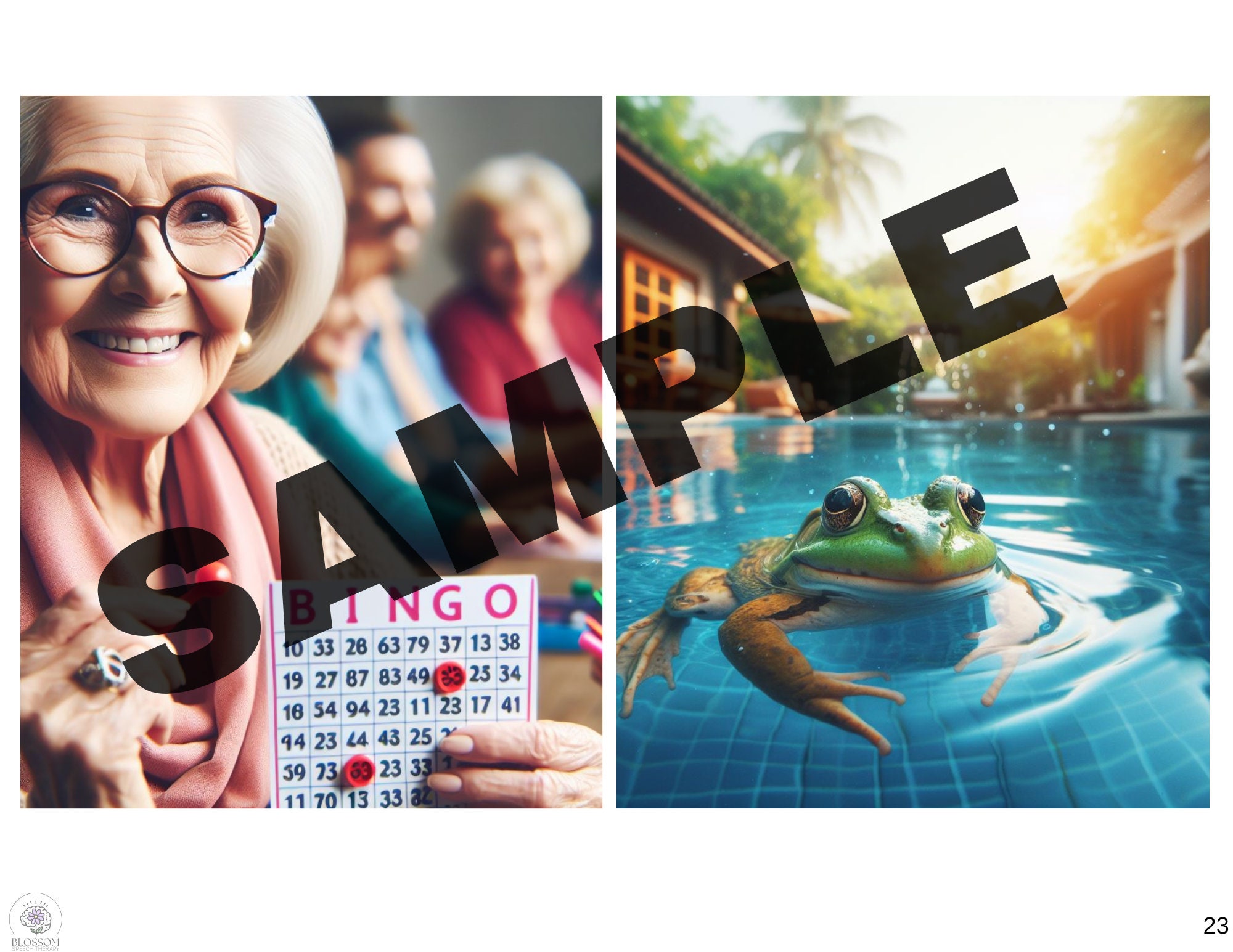 Aphasia Stimulus Pictures (part 1) - Etsy