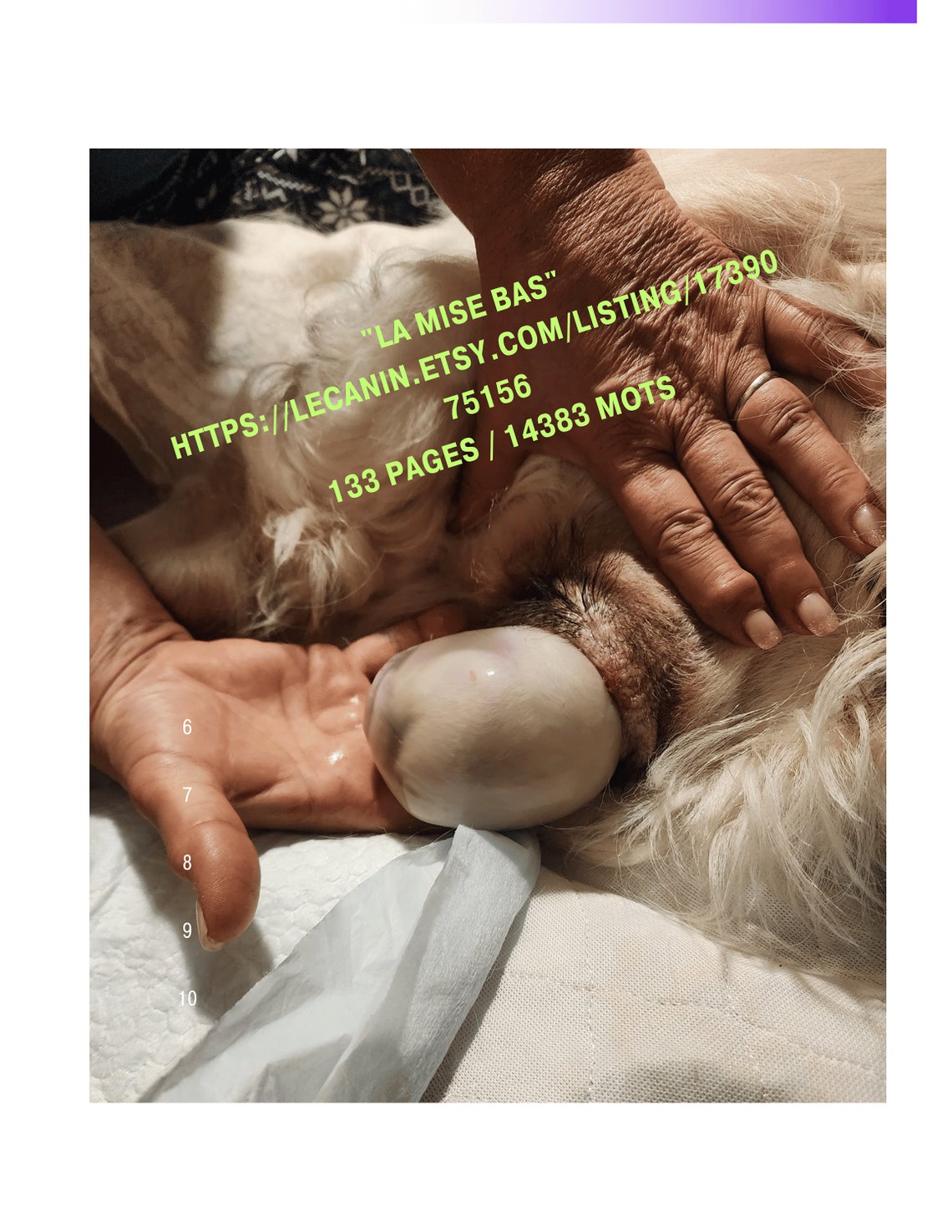 Soyez Préparé, Tout Ce Que Vous Devez Savoir Pour Une MISE BAS De Vos CHIOTS Réussit. Livre ...