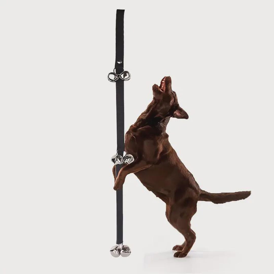 Dog Rope Alarm Bells, No Barking System. Going Out Doorbell. Dog Potty ...