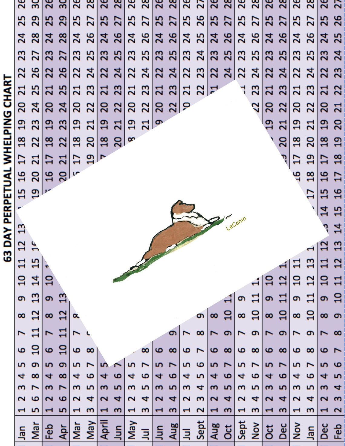 Soyez Préparé, Tout Ce Que Vous Devez Savoir Pour Une MISE BAS De Vos CHIOTS Réussit. Livre ...