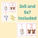 Number Flash Cards for Homeschool Curriculum Educational Cards Animal ...
