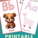 Alphabet Flash Cards for Homeschool Curriculum Educational Cards Animal ...
