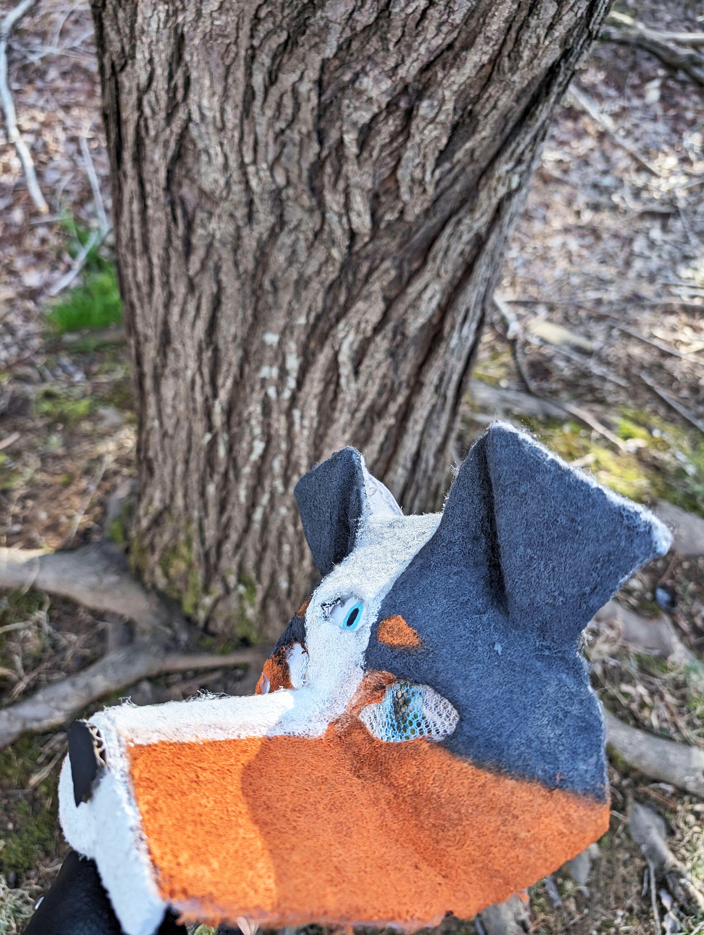 Aussie Shepard Mask - Australian - Blue Sky Tulle Eyes - Hand Painted ...