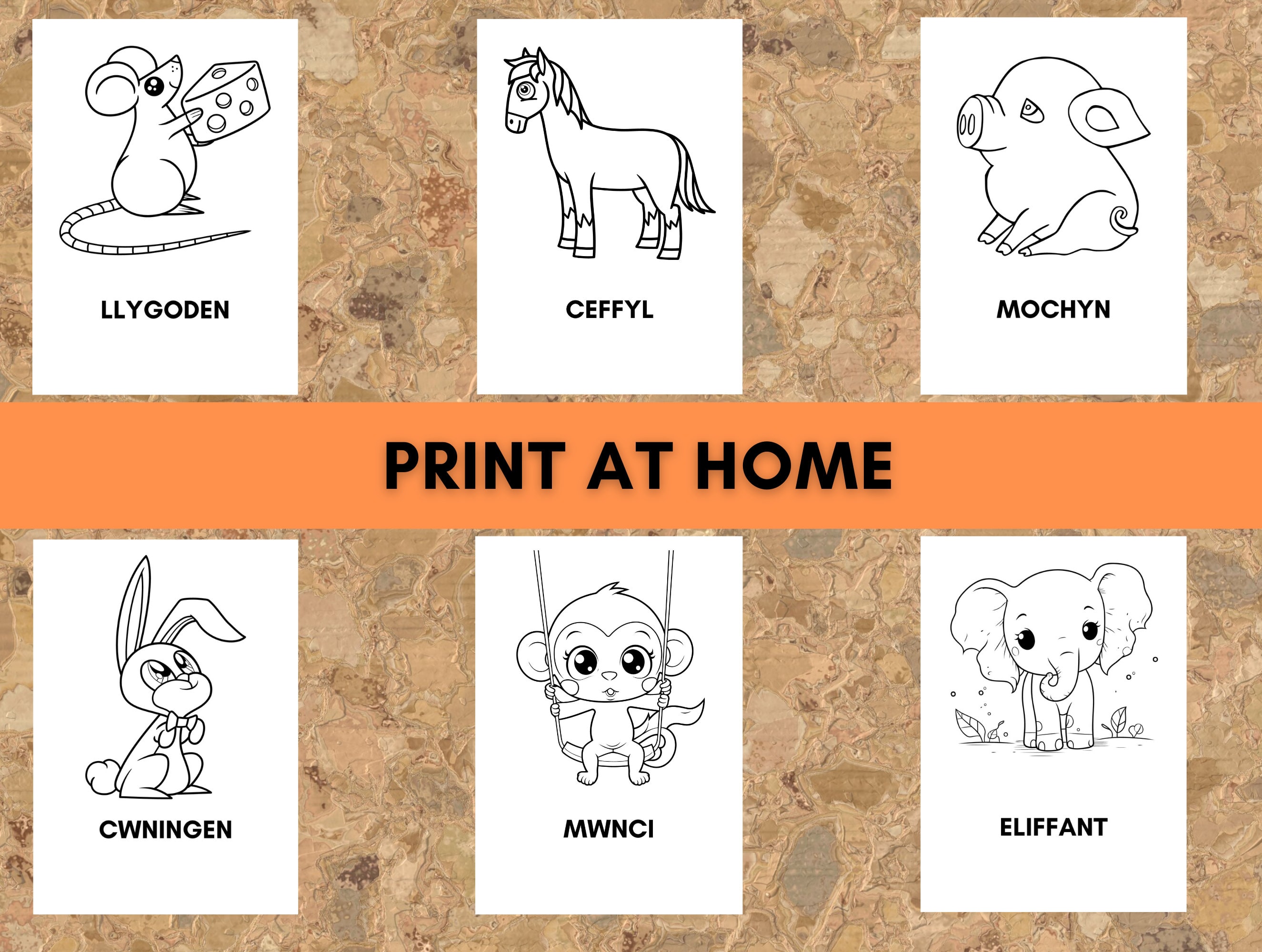 Welsh Colouring Flashcards Animals | Printable Digital Download | A4 ...