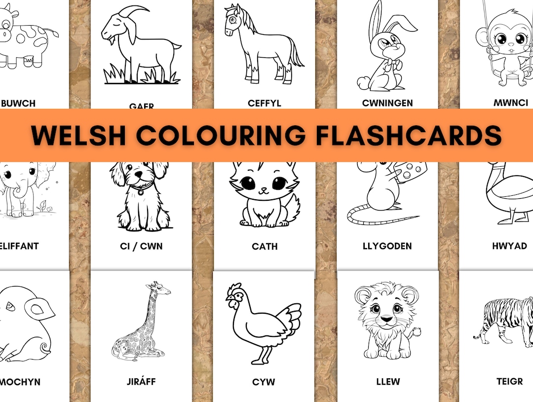 Welsh Colouring Flashcards Animals | Printable Digital Download | A4 ...