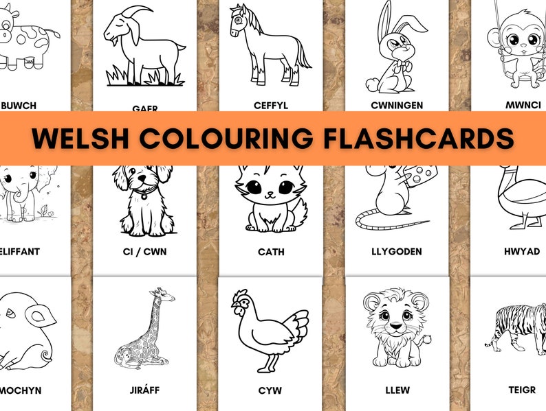 Welsh Colouring Flashcards Animals | Printable Digital Download | A4 ...