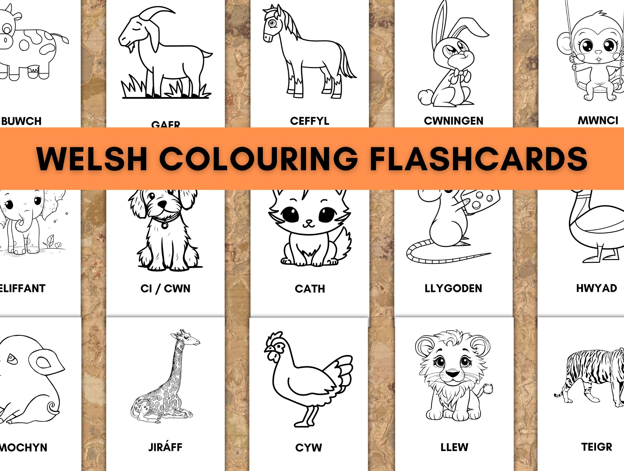 Welsh Colouring Flashcards Animals Printable Digital Download A4 & US ...