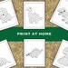 Dinosaur Dot Marker Coloring Pages: 25 Kids Activity Worksheets (PDF ...