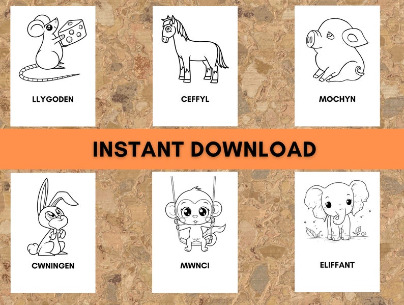 Welsh Colouring Flashcards Animals | Printable Digital Download | A4 ...
