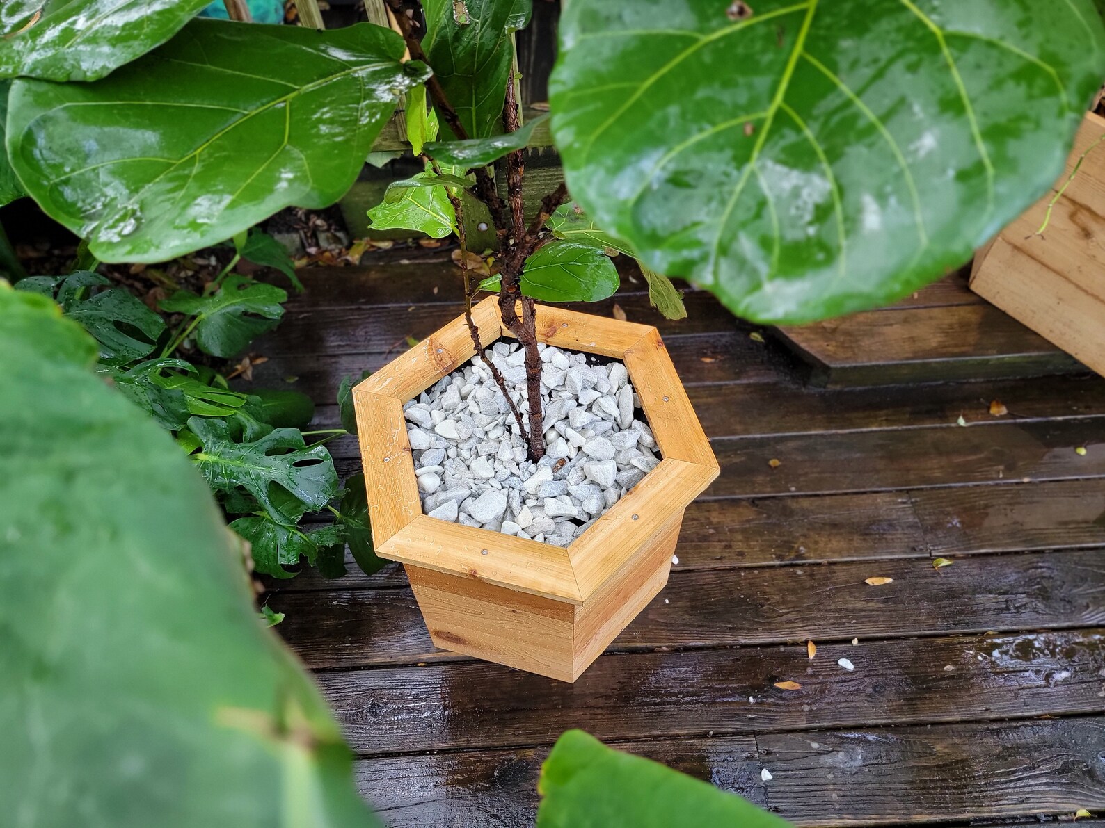 Plant Pot / Hexagon Plant Pot / Cedar Plant Pot / Build Plan / Digital ...