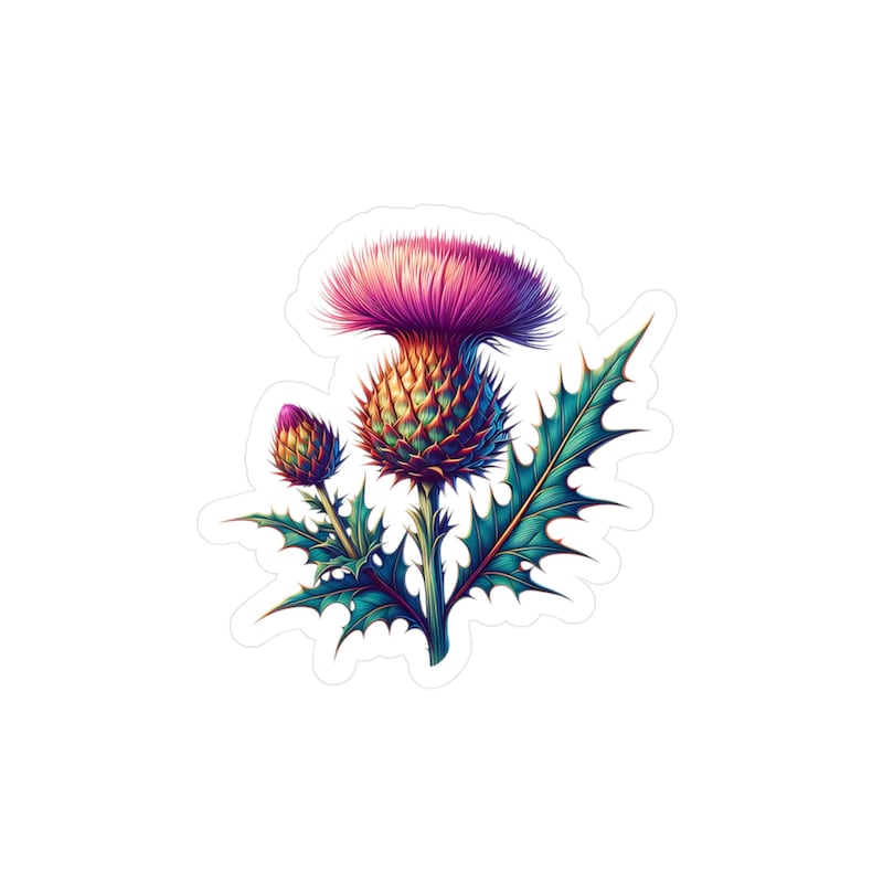 Thistle Svg - Etsy