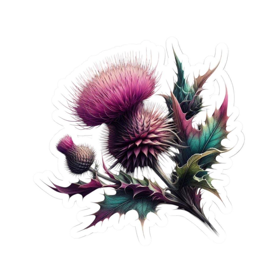 Scottish Thistle 2 Vinyl Decal (reverse) - Etsy
