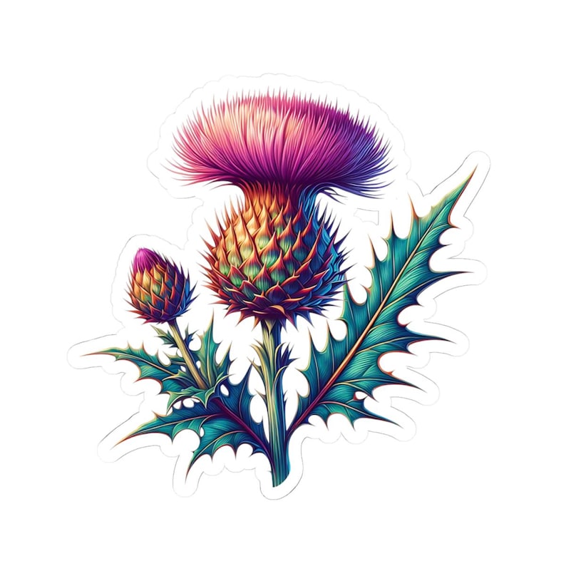 Scottish Thistle Vinyl Decal - Etsy