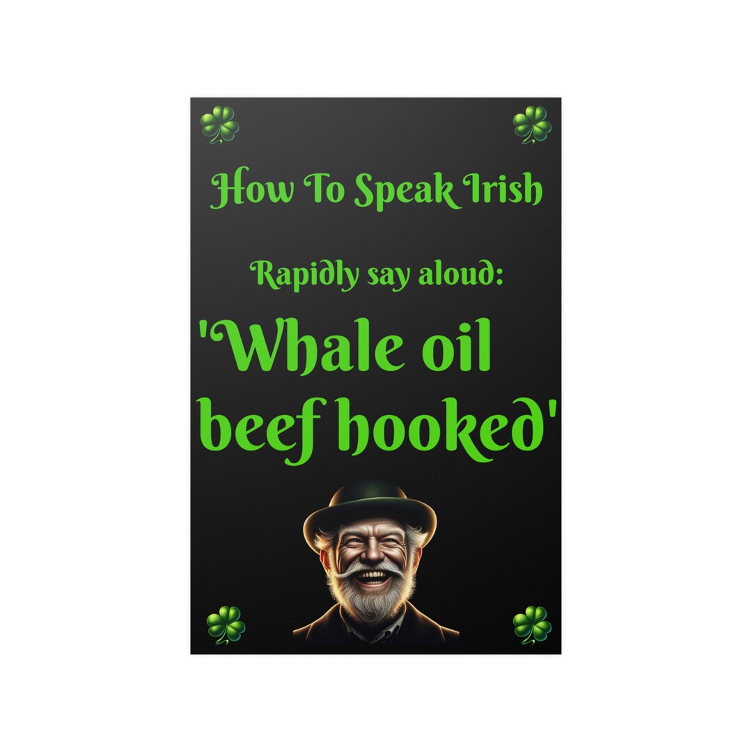 How to Speak Irish Satin Poster - Etsy