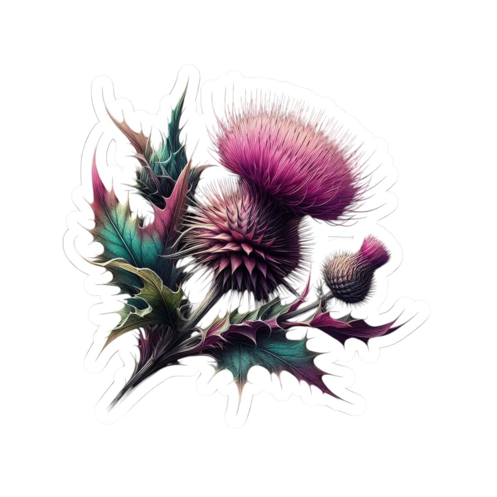 Scottish Thistle 2 Vinyl Decal - Etsy