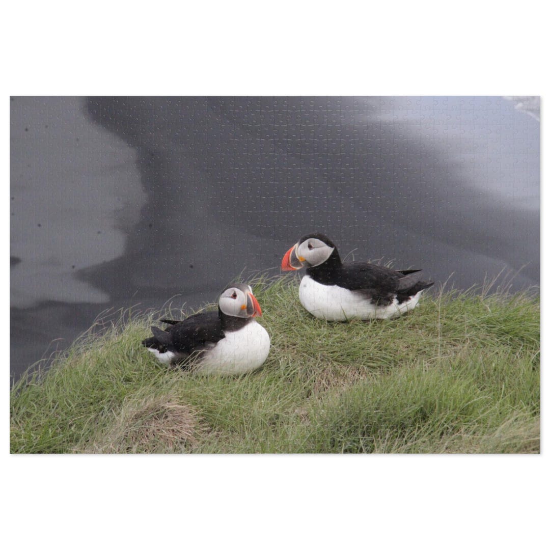 Icelandic Puffins Jigsaw Puzzle 500,1000-piece - Etsy
