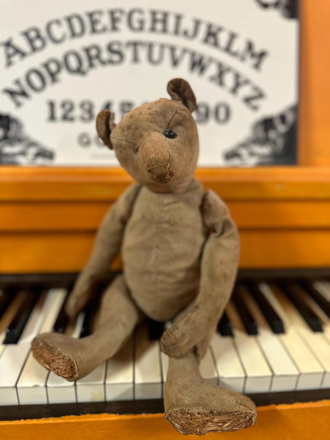 Haunted Antique Steiff Teddy Bear - Etsy