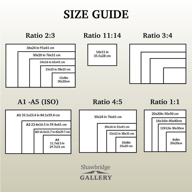 Majestic Lion African Sunset Digital Wall Art Downloadable Safari Quote ...