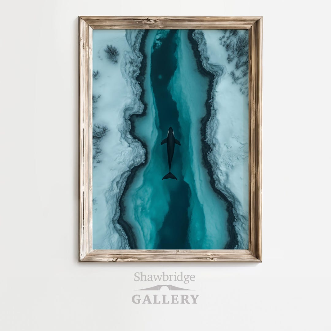 Solitary Orca in Turquoise Ice River | Aerial Winter Photography ...