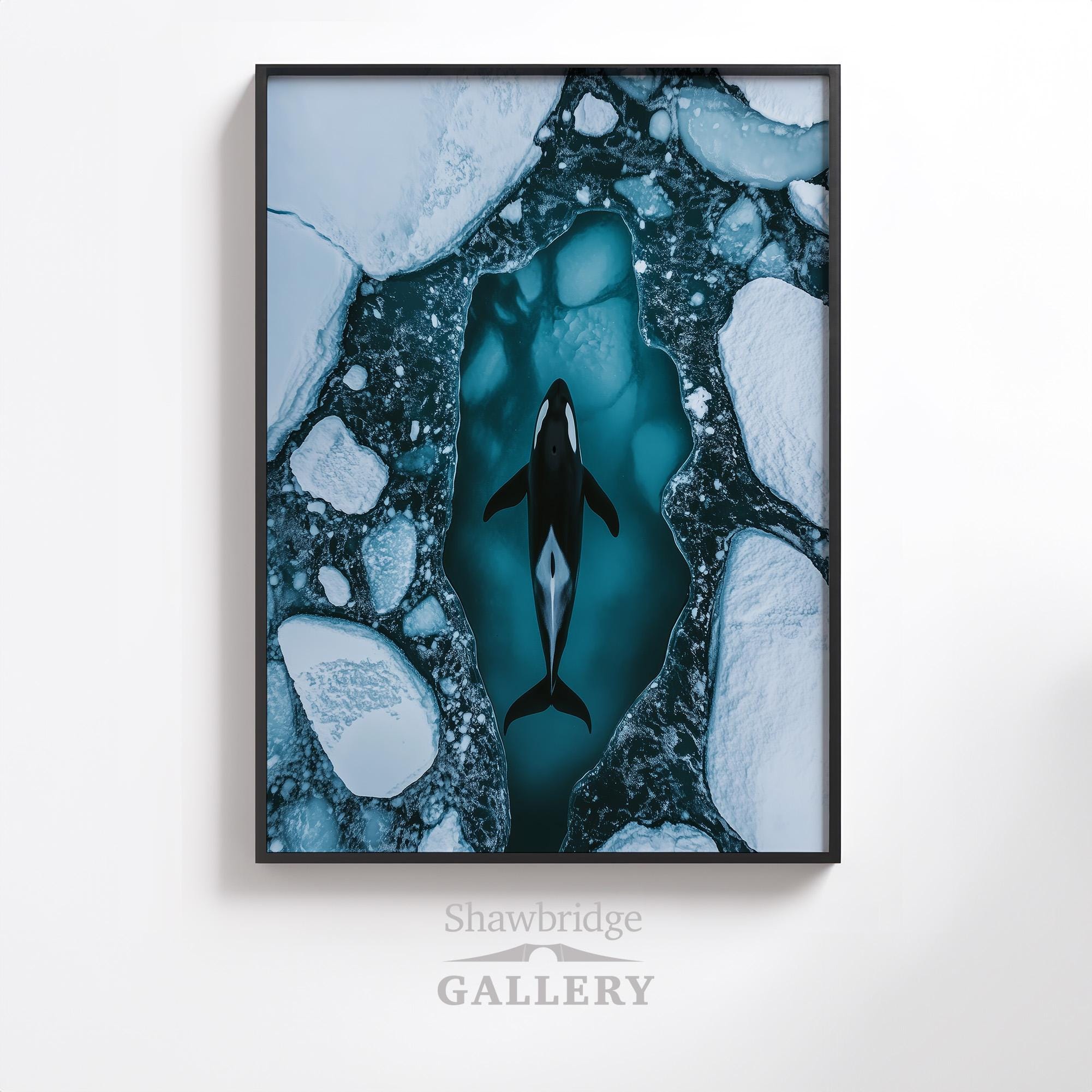 Orca in Ice Channels Digital Download | Aerial Arctic Wildlife ...