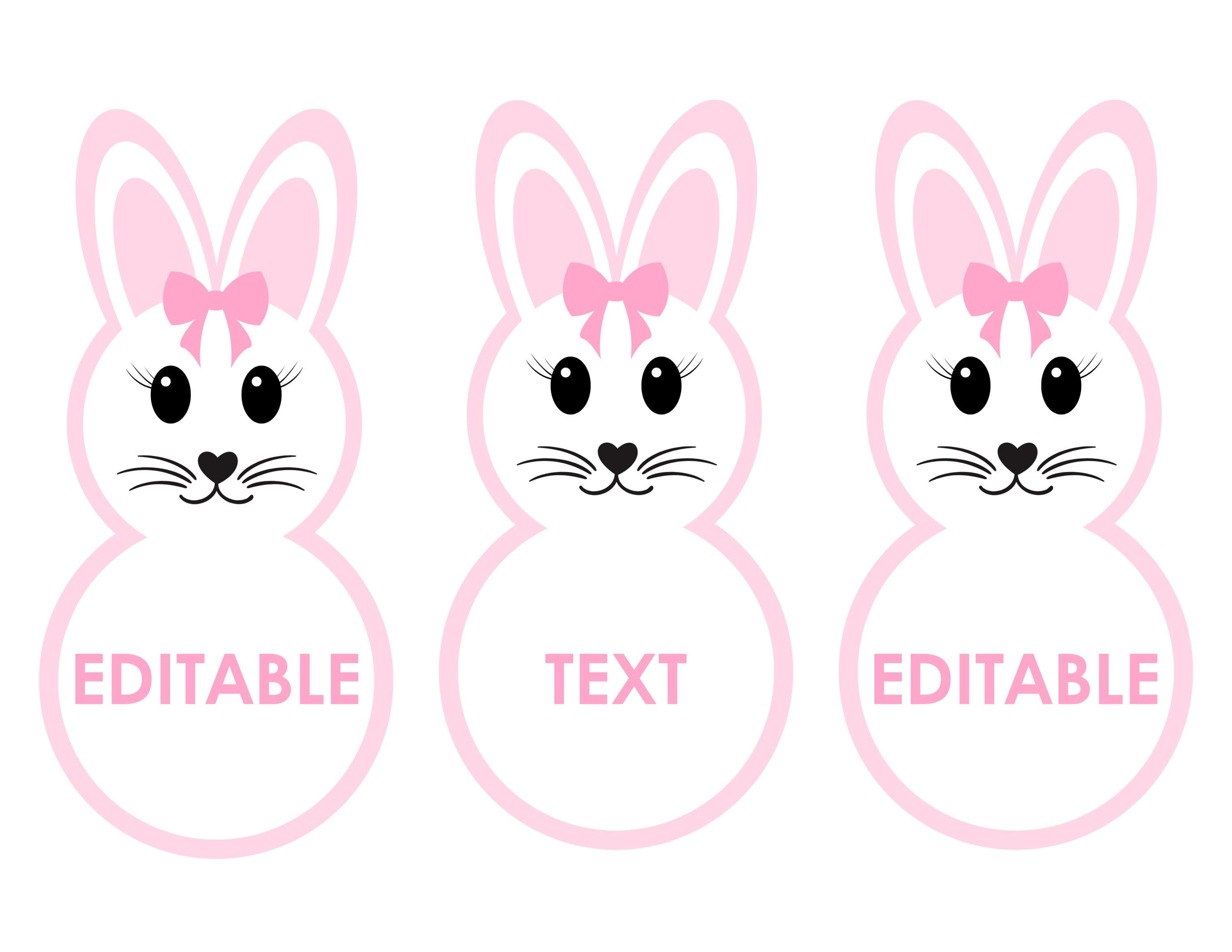 Editable Bunny Tags | Easter Name Tags | Printable Easter Labels ...