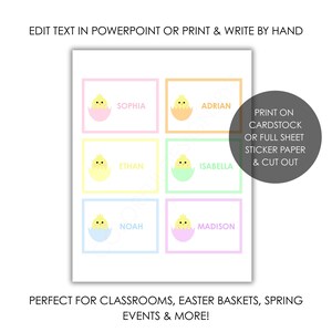 Editable Easter Chick Name Tags - Printable Classroom Labels - Pastel ...