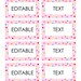 Editable Tags & Labels Printable - Polka Dot Theme - 4 Colors - Instant ...