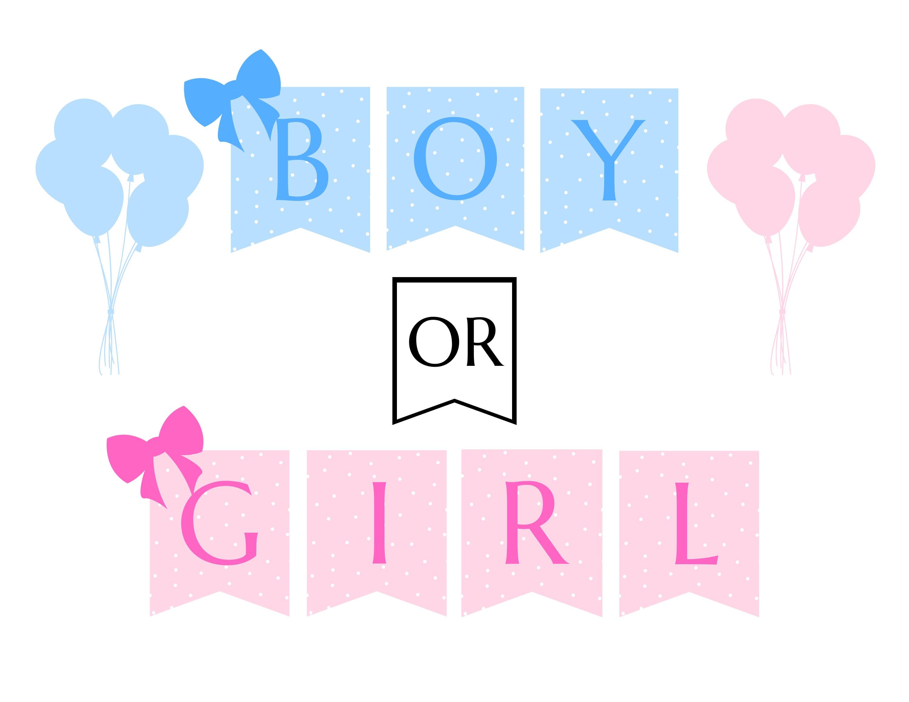 Printable Boy or Girl Gender Reveal Banner | Pink and Blue DIY Baby ...