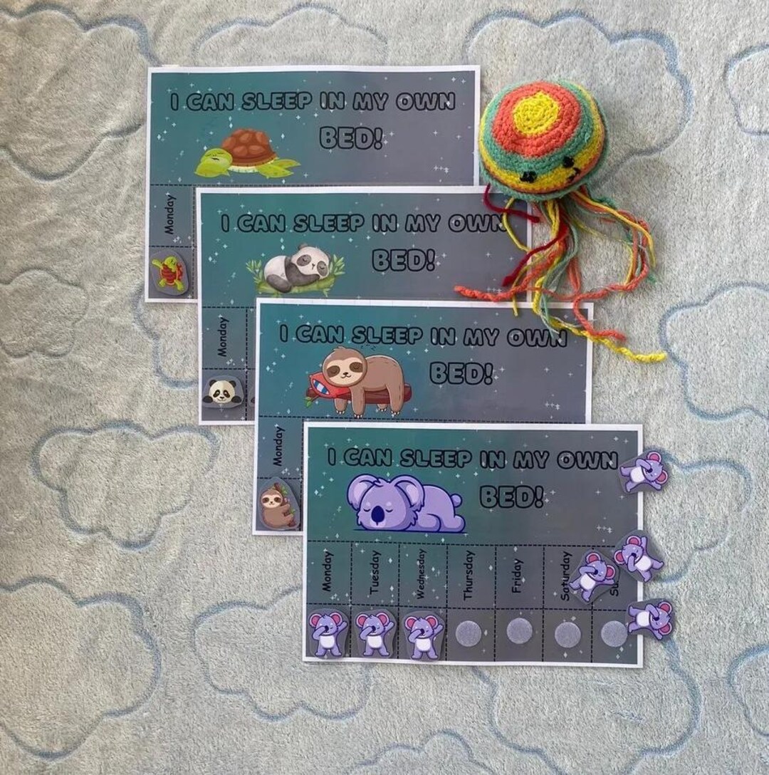 I Can Sleep in My Own Bed Flip Chart, Routine Flip Chart, Independence ...