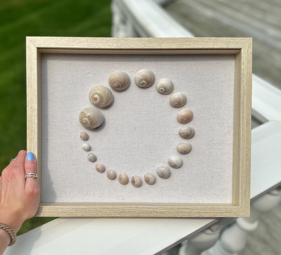 Coastal Wall Art. Real Shells. Shell Art. Sanibel Island. Seashell Art ...