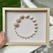 Shark Eye Shell Art - Etsy