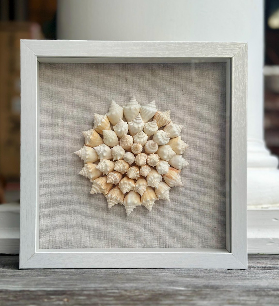 SW Florida Conch Shell Shadowbox - Etsy