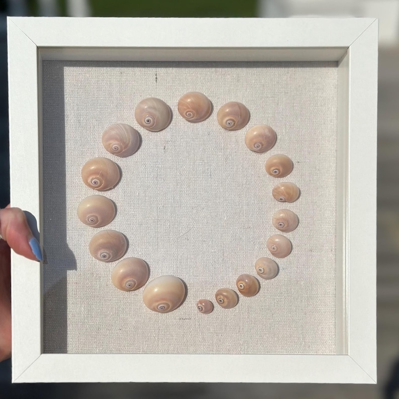 8x8 Seashell Shadowbox. Wall Art . Real Shells. Shell Art. Sanibel ...