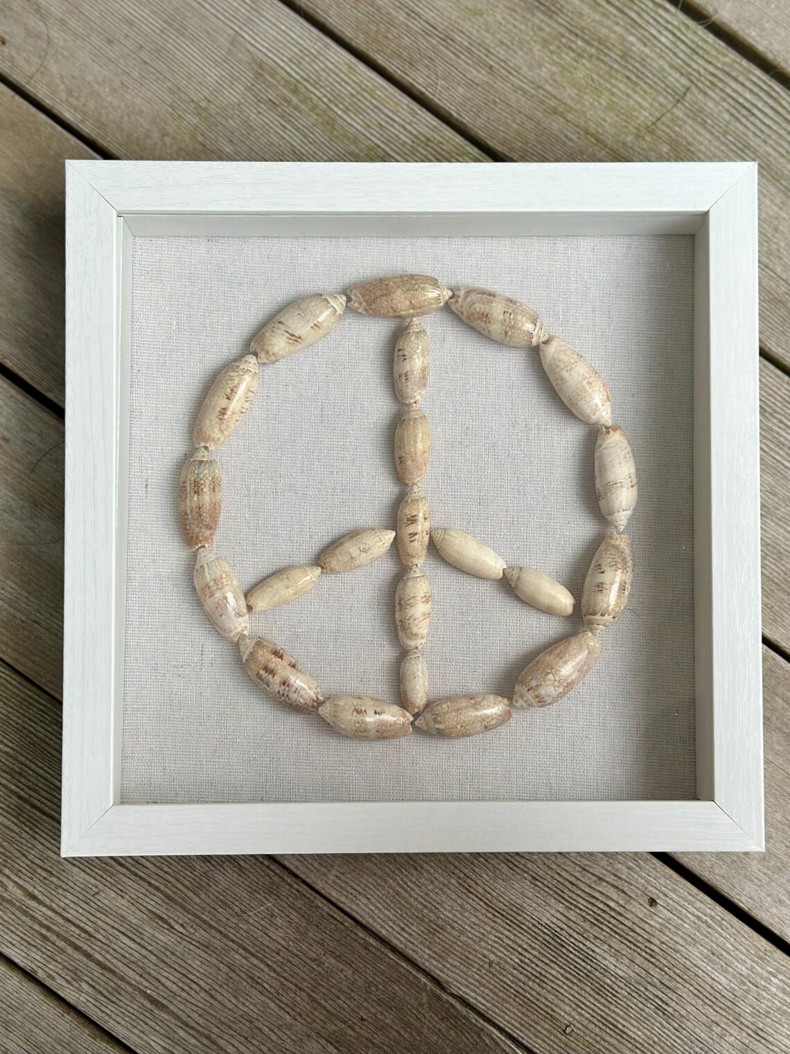 Seashell Shadow Box - SW Florida Olive Shell Peace Sign - Etsy