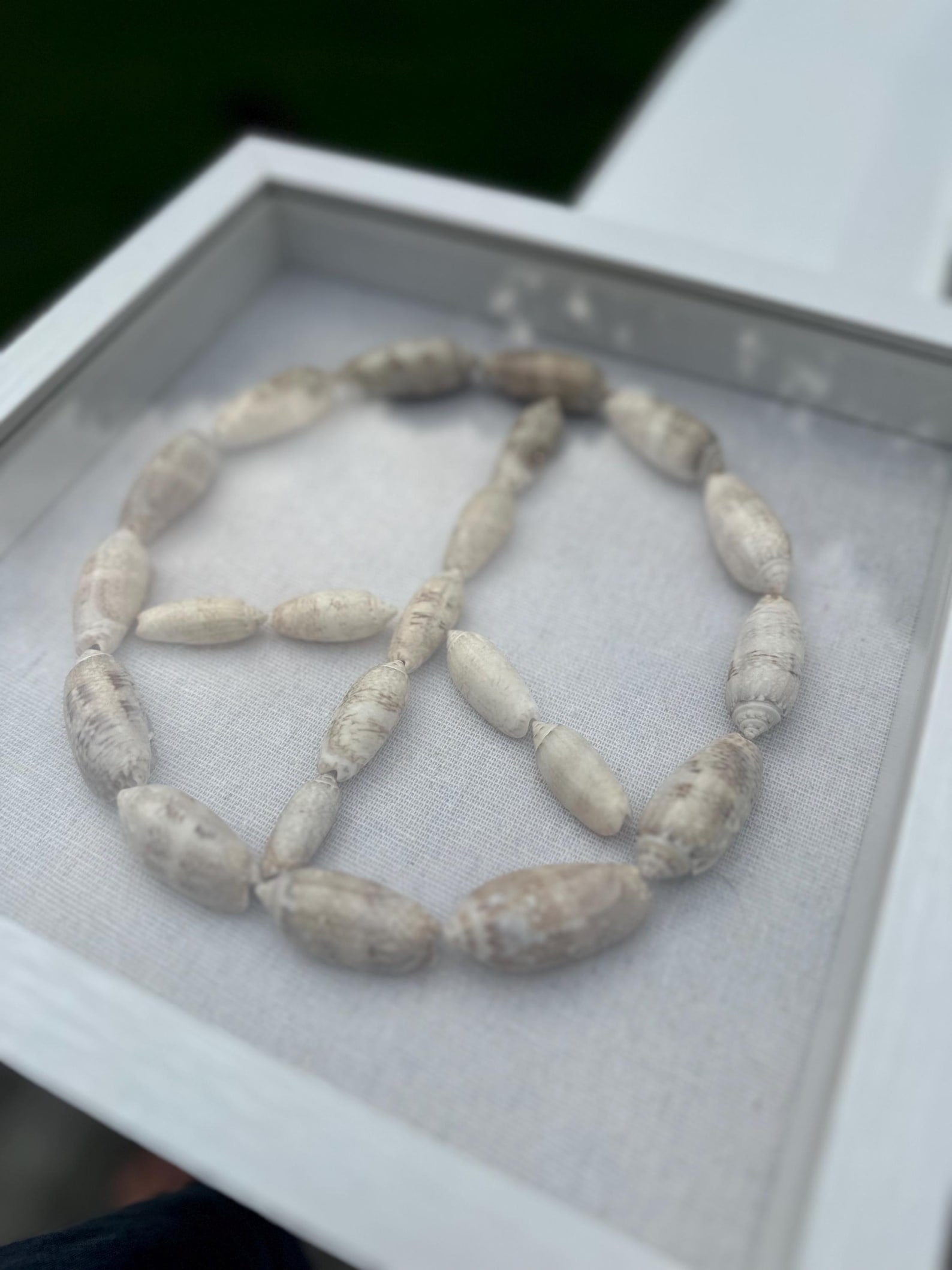 Seashell Shadow Box - SW Florida Olive Shell Peace Sign - Etsy