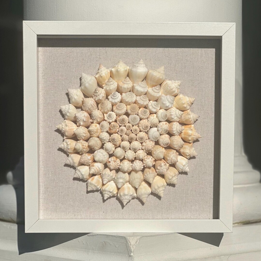 Seashell Shadowbox- 85+ Authentic Sanibel Seashells - Etsy