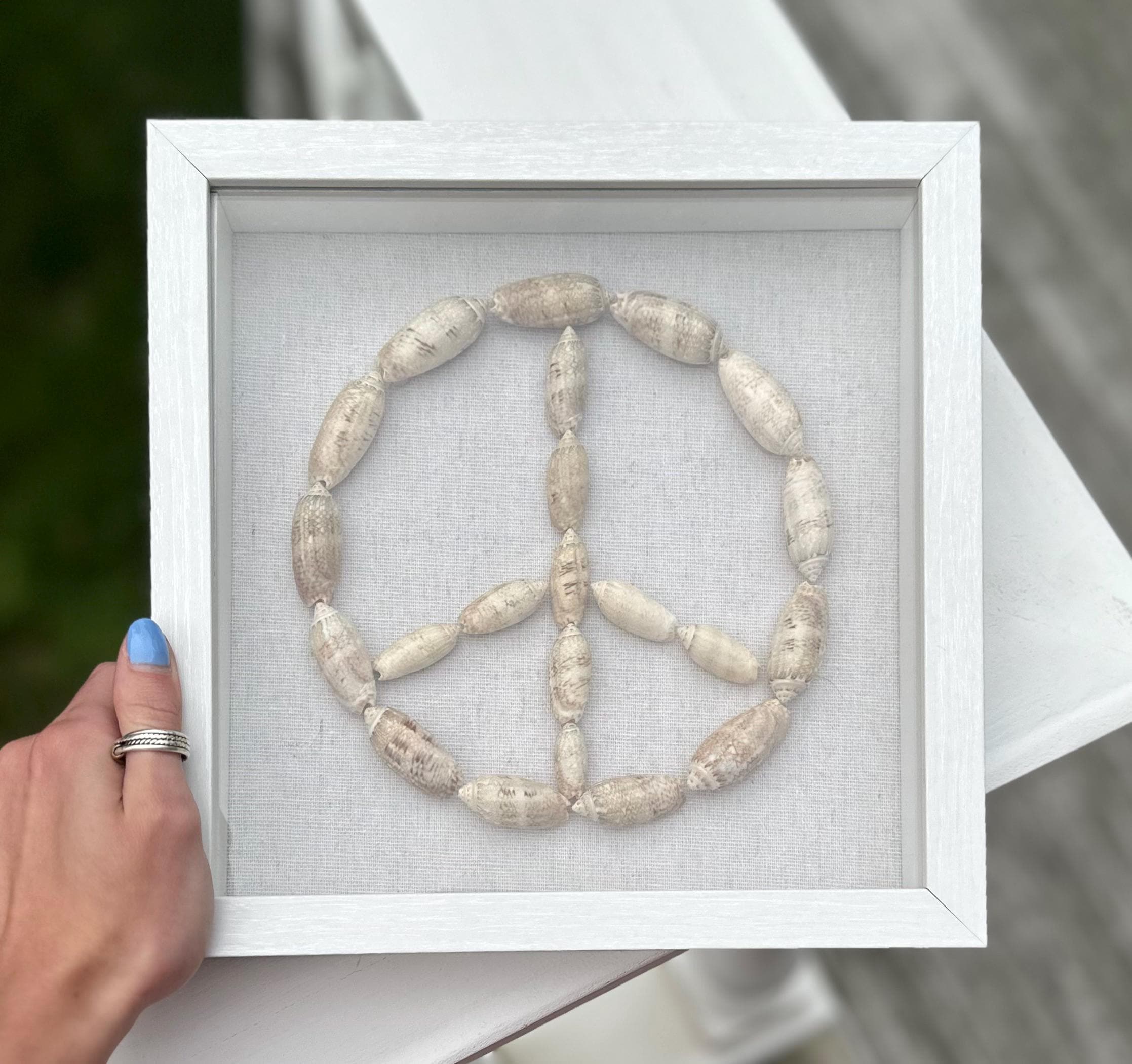 Seashell Shadow Box - SW Florida Olive Shell Peace Sign - Etsy