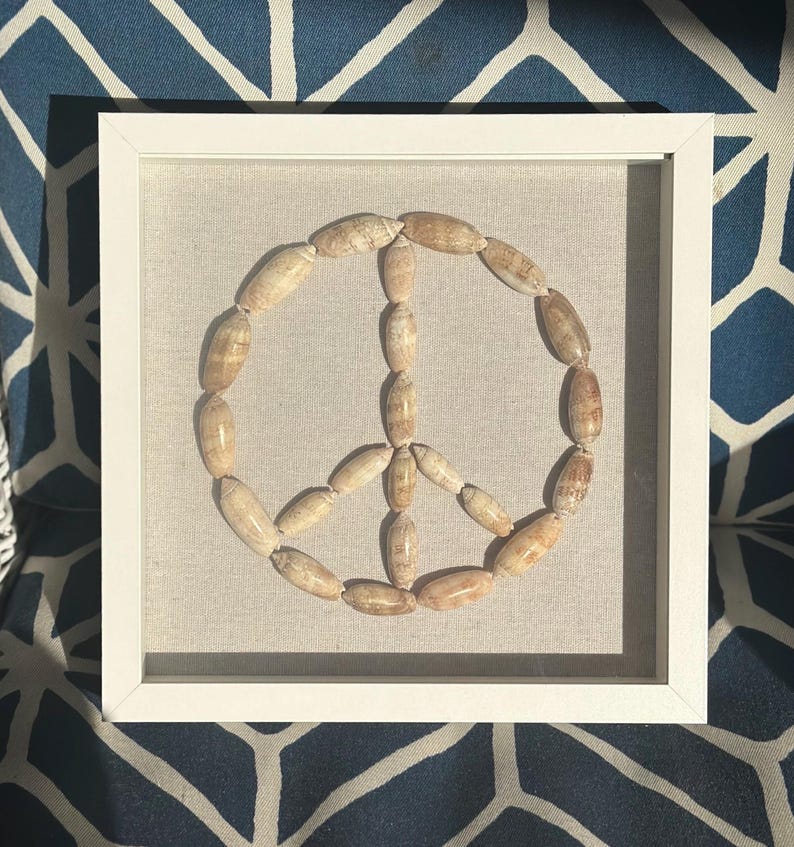 Seashell Peace Sign - Shell Peace Sign - Sanibel Island Olive Shell ...