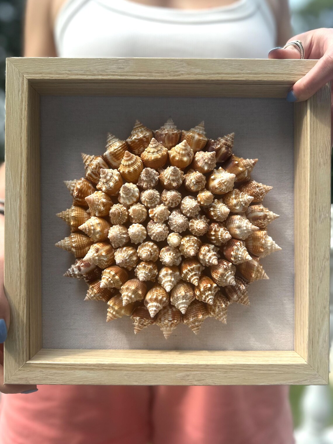 Seashell Shadowbox - Etsy