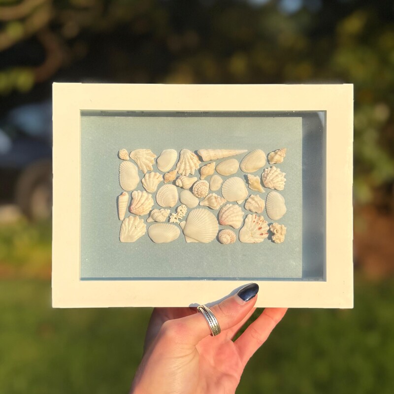 Shell Art Shadow Box - Etsy