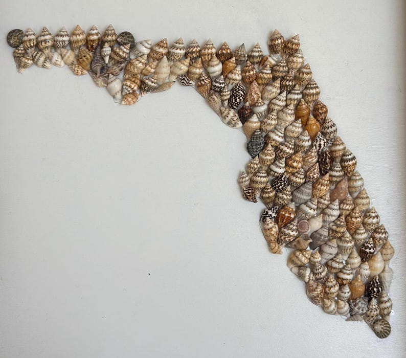 Florida Shell Art | Handmade Seashell State Wall Decor | Coastal Home ...