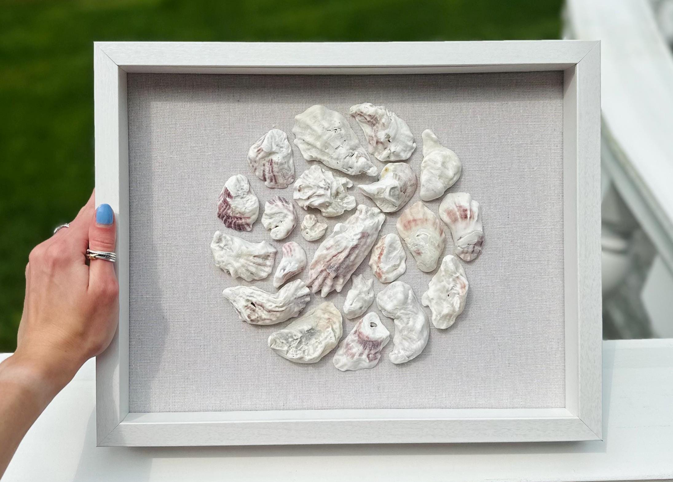 Oyster Shell Art Shadowbox - Authentic Sanibel Island Seashells. Beach ...