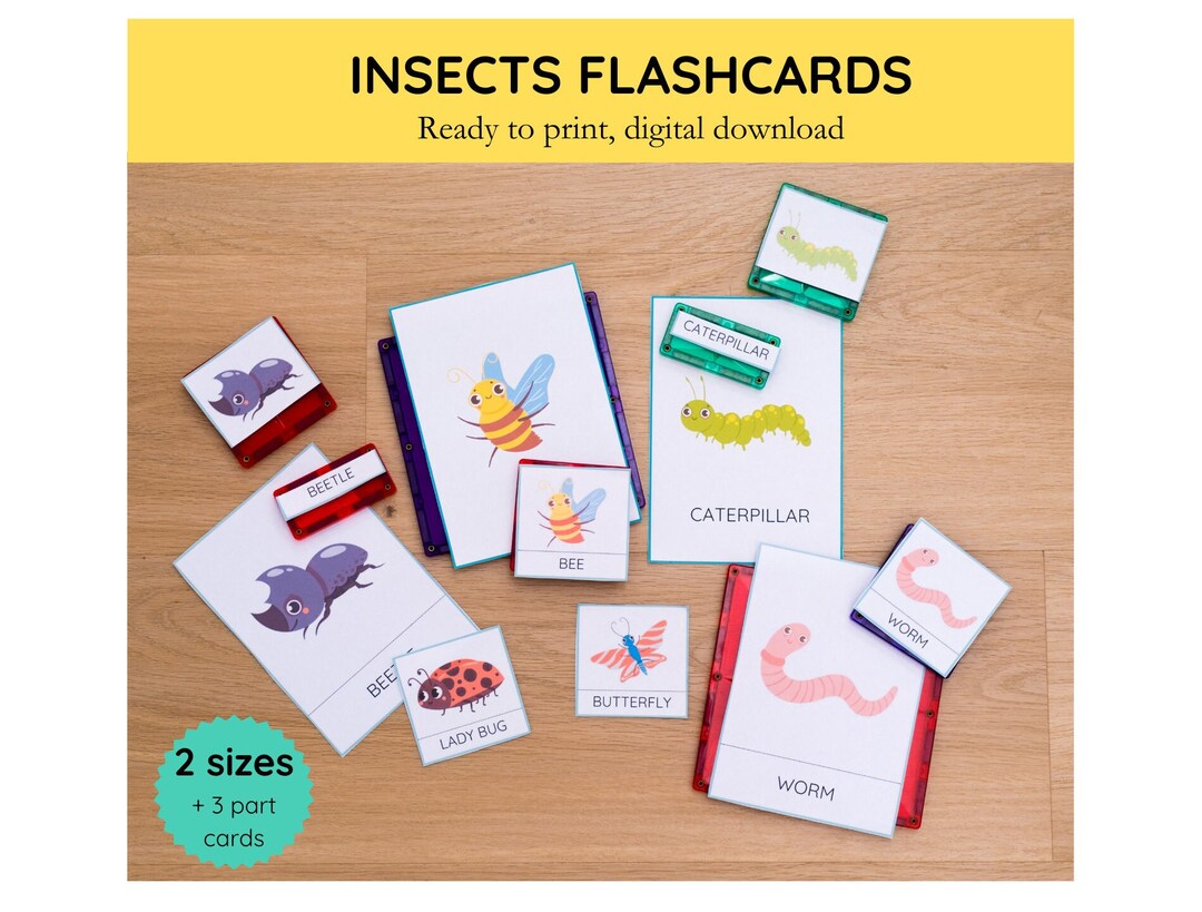 Insect Flashcards, Toddler Learning Flash Cards, Educational Printable ...