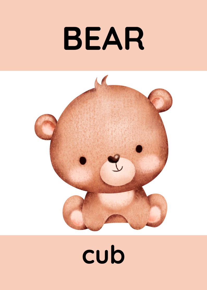 J Cole Png, Vintage J Cole Albums Png, J.cole Music Graphic Design for ...