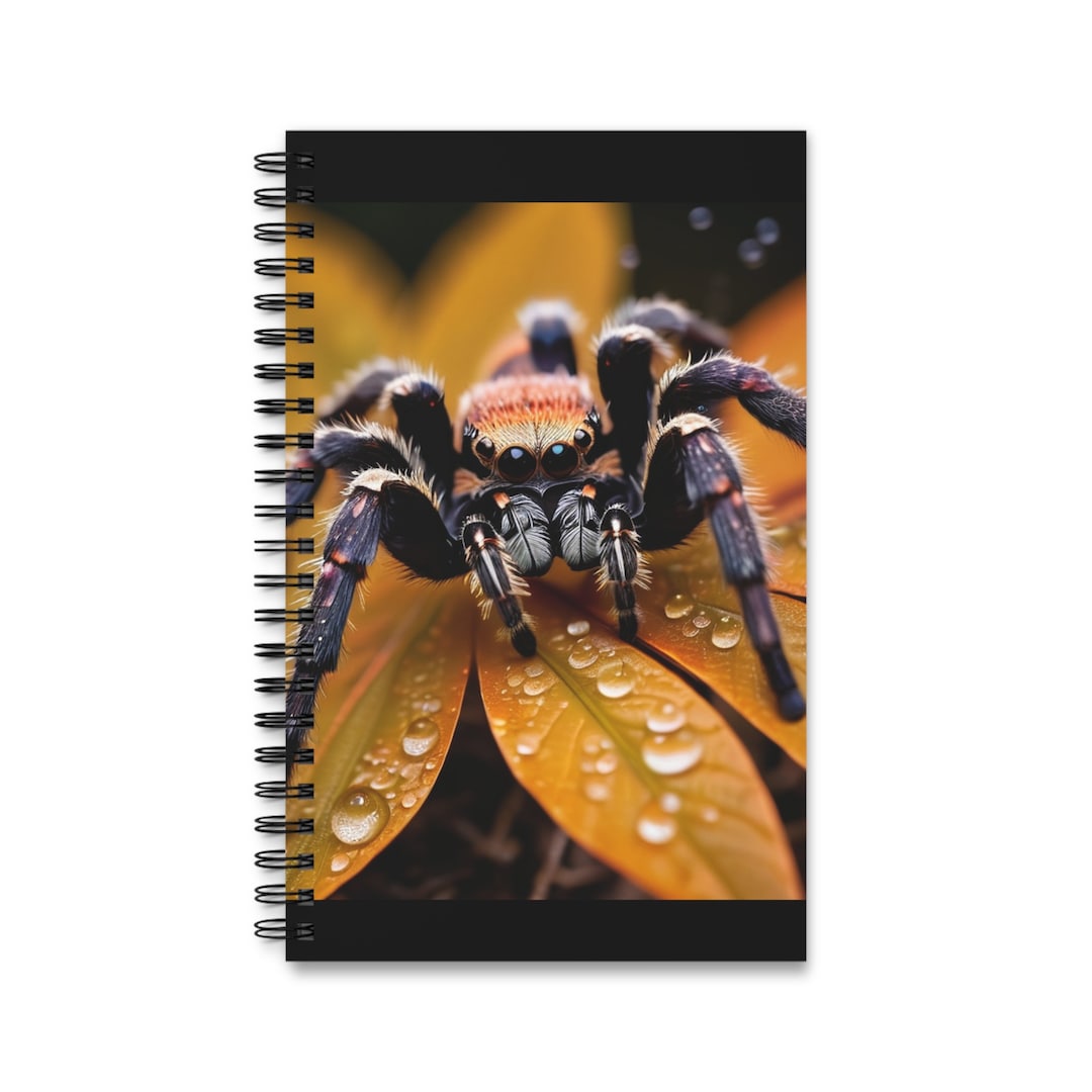 Spider Notebook Journal, Jumping Spider Gift, Spider Gifts ...