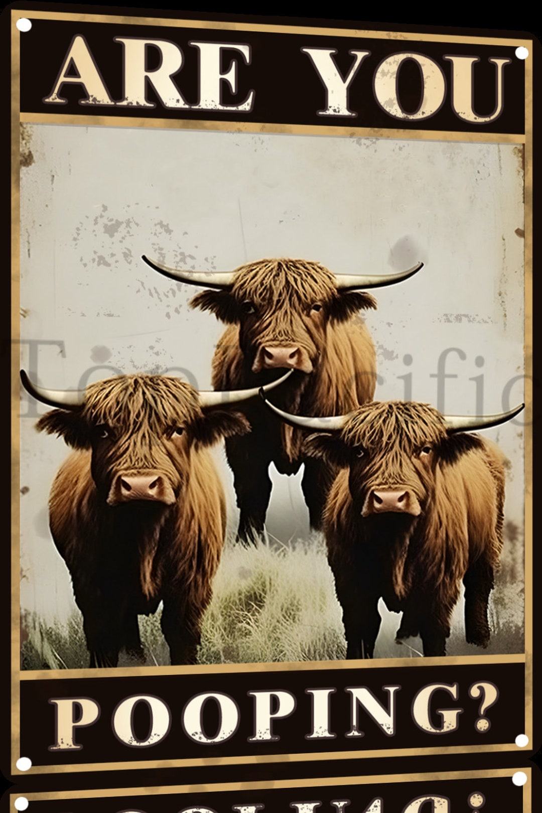Funny Highland Cow Tin Sign: Farmhouse Bathroom Decor (12x8 Inches) - Etsy