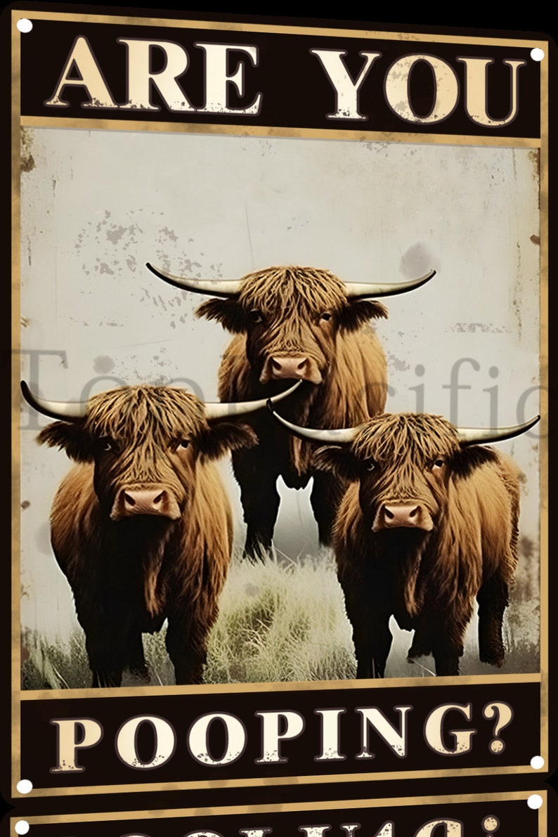 Funny Highland Cow Tin Sign - 'are You Pooping?' Bathroom Decor - 12x8 ...