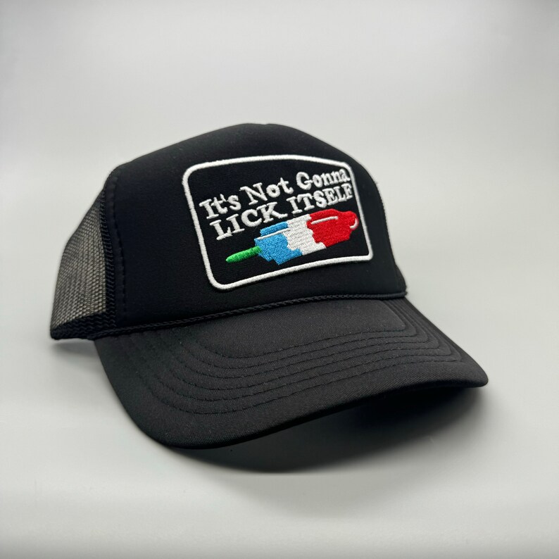 It's Not Gonna Lick Itself Trucker Hat, Funny Hat, Rope Mesh Back Hat ...